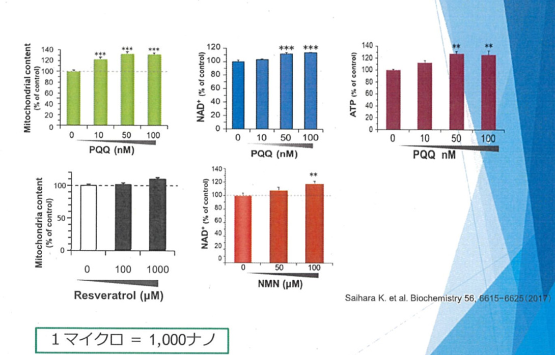 ミトコンドリアの働きをサポートする選択肢にBioPQQ®を | BioPQQ🄬日本公式サイト