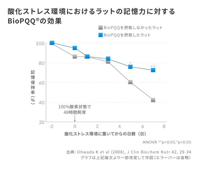 【研究紹介】BioPQQ®の摂取で脳の機能はどう変わるのか | BioPQQ🄬日本公式サイト