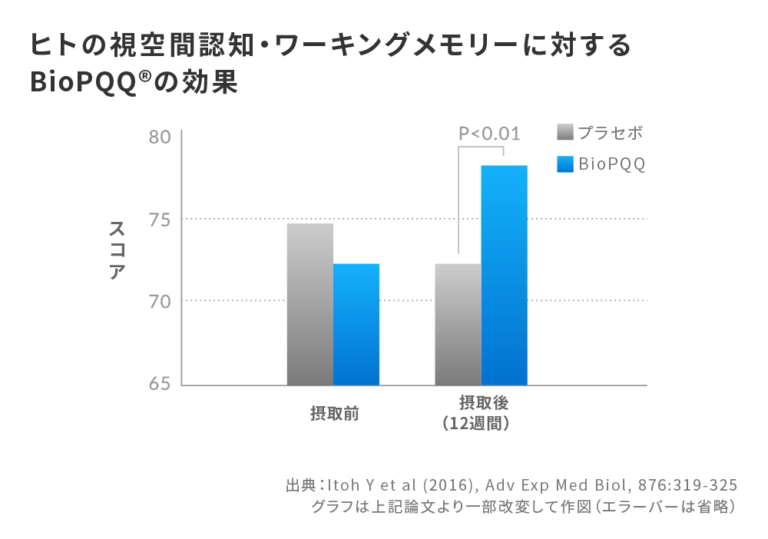 【研究紹介】BioPQQ®の摂取で脳の機能はどう変わるのか | BioPQQ🄬日本公式サイト