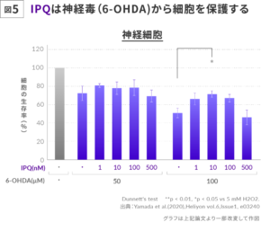 【研究紹介】PQQは形を変えても効果を発揮する | BioPQQ🄬日本公式サイト