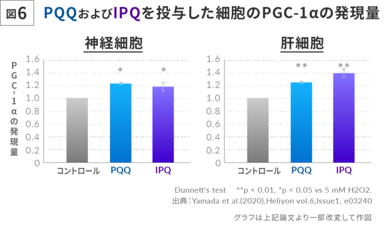 【研究紹介】PQQは形を変えても効果を発揮する | BioPQQ🄬日本公式サイト
